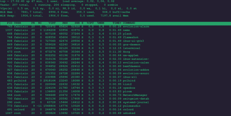I 30 comandi Linux più usati che devi imparare - SupportHost