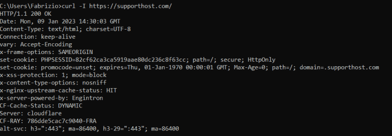Linux, comando cURL: come usarlo (+12 esempi) - SupportHost