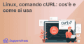 Linux, comando cURL: come usarlo (+12 esempi) - SupportHost