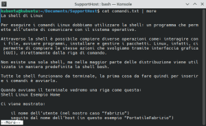 Comando cat: guida all'uso (con esempi) - SupportHost