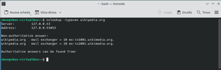 Comando nslookup Linux: verificare i DNS - SupportHost