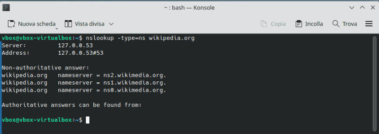Comando nslookup Linux: verificare i DNS - SupportHost