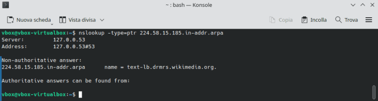 Comando nslookup Linux: verificare i DNS - SupportHost