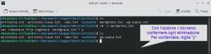 Comando rm Linux: come eliminare file e cartelle
