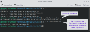 Comando rm Linux: come eliminare file e cartelle