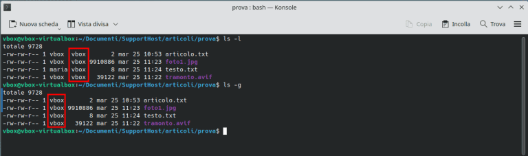 Comando ls Linux: visualizzare il contenuto delle cartelle