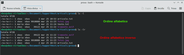 Comando ls Linux: visualizzare il contenuto delle cartelle