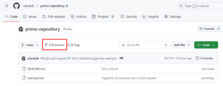 Cos’è GitHub e come usarlo - SupportHost