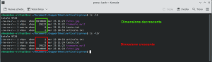 Comando ls Linux: visualizzare il contenuto delle cartelle