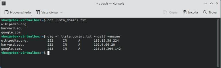 Comando dig Linux: come verificare i record DNS - SupportHost