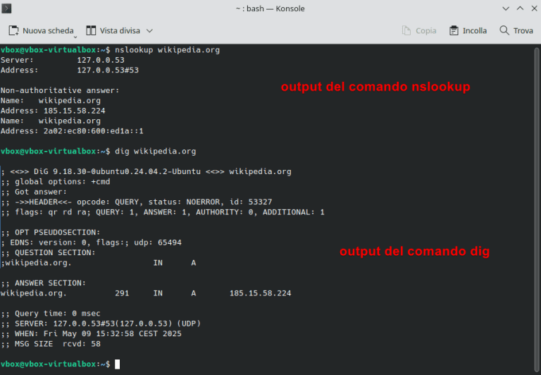 Comando dig Linux: come verificare i record DNS - SupportHost