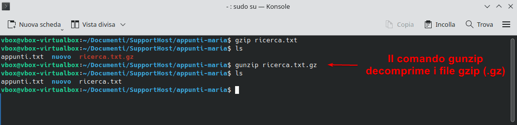 Comando gzip Linux: come comprimere i file - SupportHost
