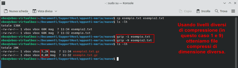 Comando gzip Linux: come comprimere i file - SupportHost