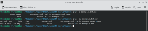 Comando gzip Linux: come comprimere i file - SupportHost