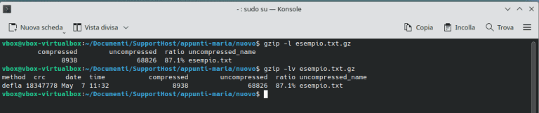 Comando gzip Linux: come comprimere i file - SupportHost