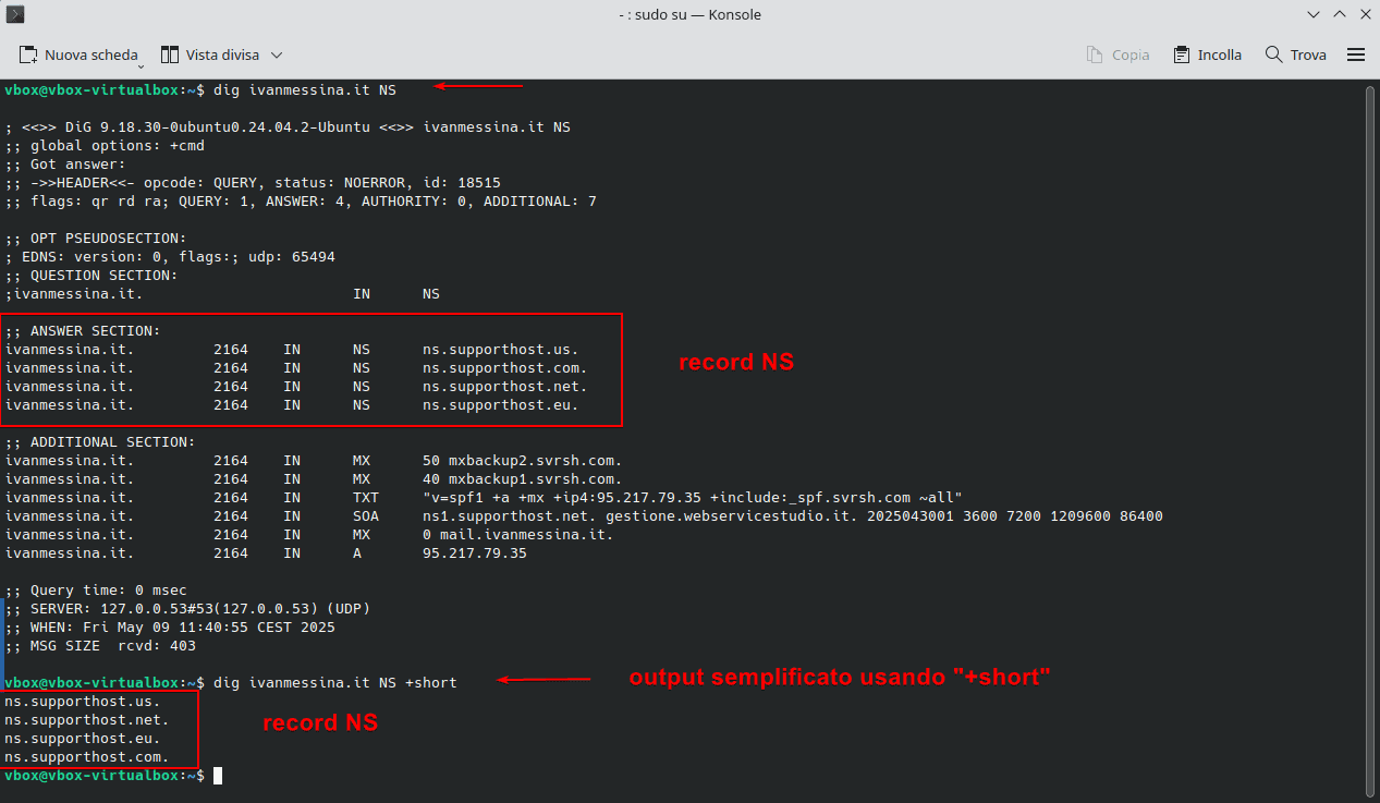 Comando dig Linux: come verificare i record DNS - SupportHost