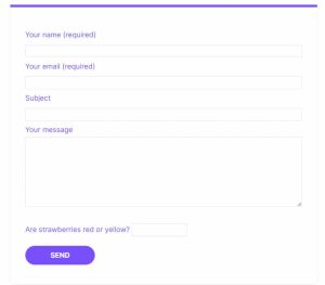Contact form 7: definitive guide (2025) - SupportHost