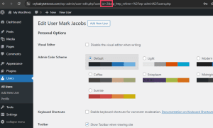 How to Edit & Customize WordPress User Roles - SupportHost